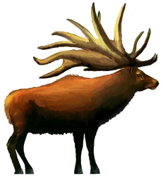 Stag Island (Pludora) | Speculative Evolution Wiki | Fandom