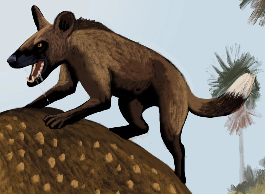 Venusian hunting dog (New Venus) | Speculative Evolution Wiki | Fandom