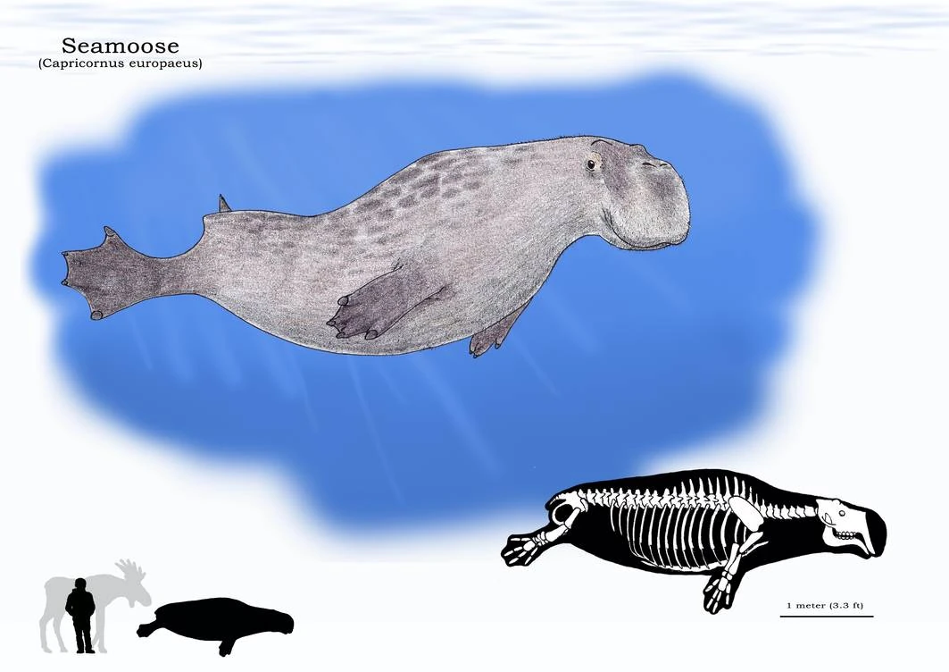 Sea Moose