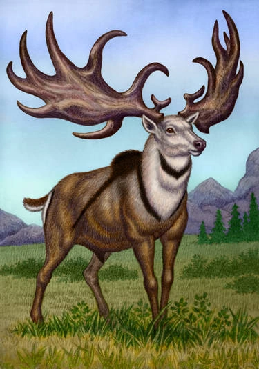 Endoran elk (Endora) | Speculative Evolution Wiki | Fandom