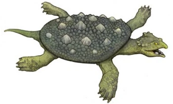Common false-turtle (SciiFii World) | Speculative Evolution Wiki | Fandom