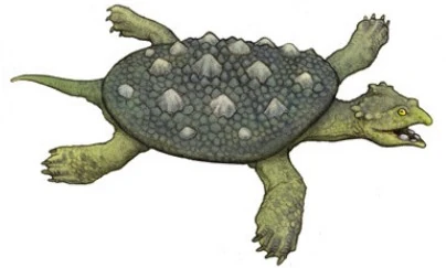 Common false-turtle (SciiFii World) | Speculative Evolution Wiki | Fandom