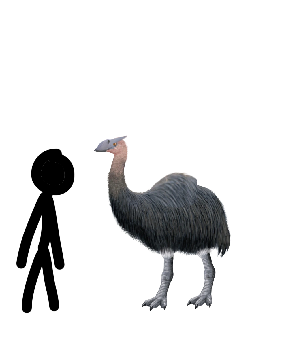 Japanese Elephant Bird | Speculative Evolution Wiki | Fandom