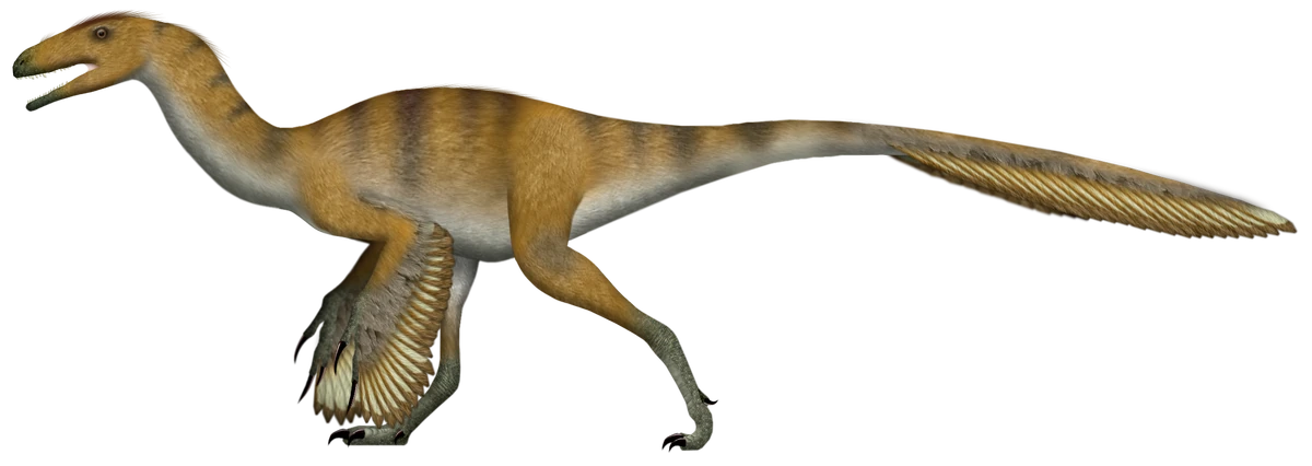 Meckorasaurus (Liera) | Speculative Evolution Wiki | Fandom