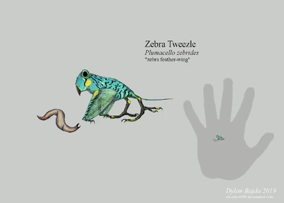 Metamorph birds | Speculative Evolution Wiki | Fandom