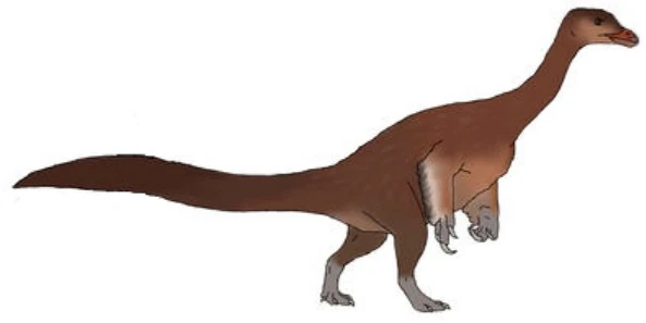 Long-snouted sythebird (Liera) | Speculative Evolution Wiki | Fandom