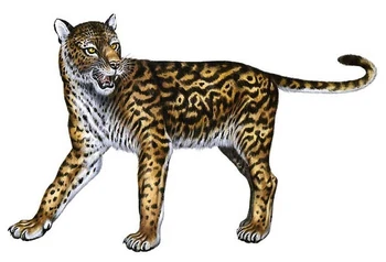 Tyrant ocelot (Ultra-Pleistocene) | Speculative Evolution Wiki | Fandom