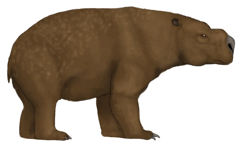 Giant wombat (Liera) | Speculative Evolution Wiki | Fandom