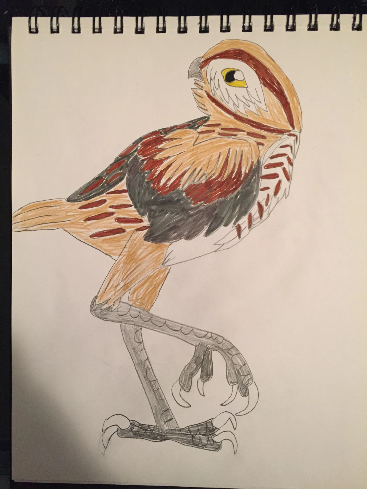 how to draw a desert owl