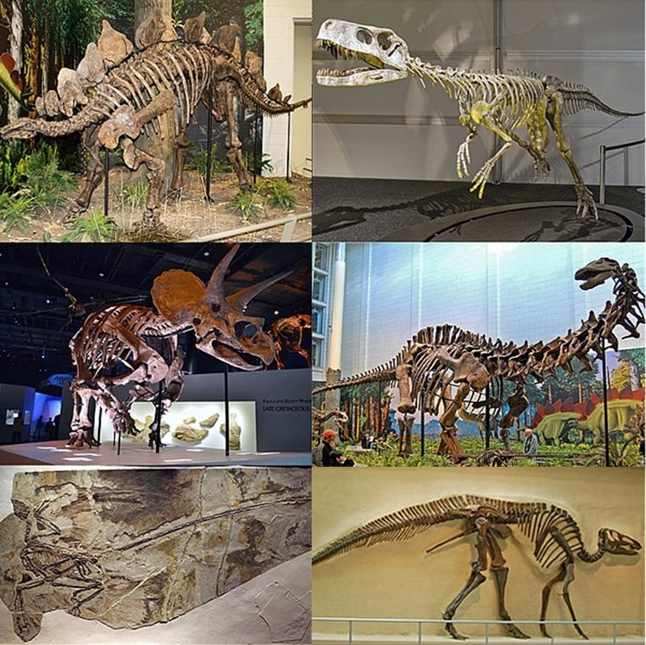 Dinosaur (Butterfly Effect) | Speculative Evolution Wiki | Fandom