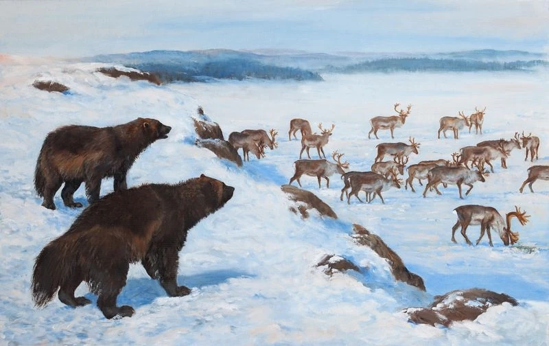 Baffin Island wolverine (Ultra-Pleistocene) | Speculative Evolution ...