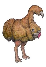 Hayate | Speculative Evolution Wiki | Fandom