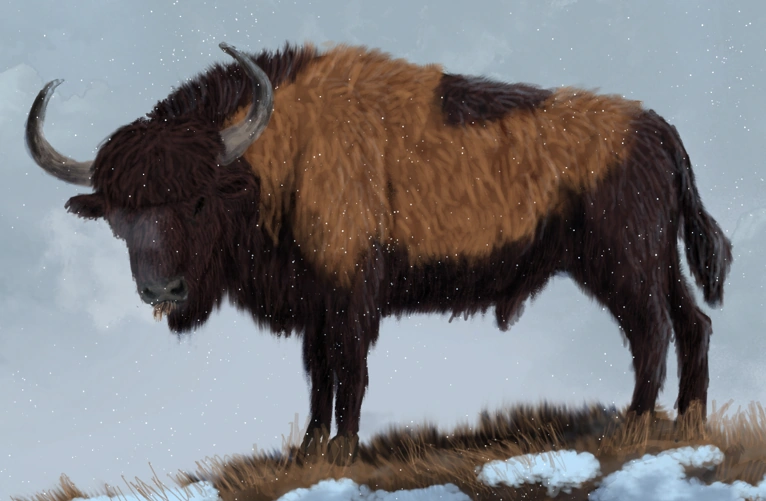 Canadian longhorn bison (Ultra-Pleistocene) | Speculative Evolution ...