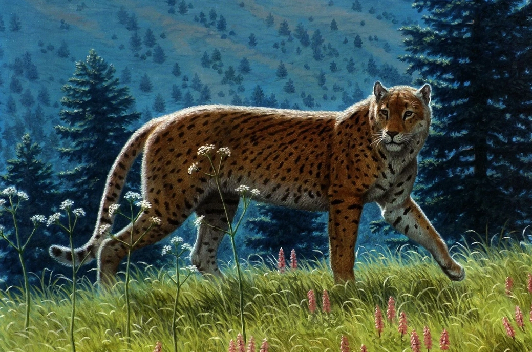 Pahar cheetahs | Speculative Evolution Wiki | Fandom