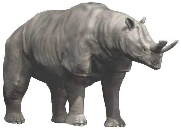 Rhino Evolution