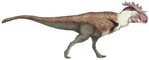 Crowned bear tyrant (Liera) | Speculative Evolution Wiki | Fandom