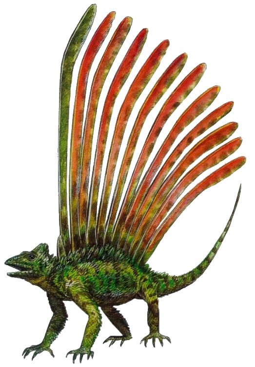 Fin-backed tuatara (Liera) | Speculative Evolution Wiki | Fandom
