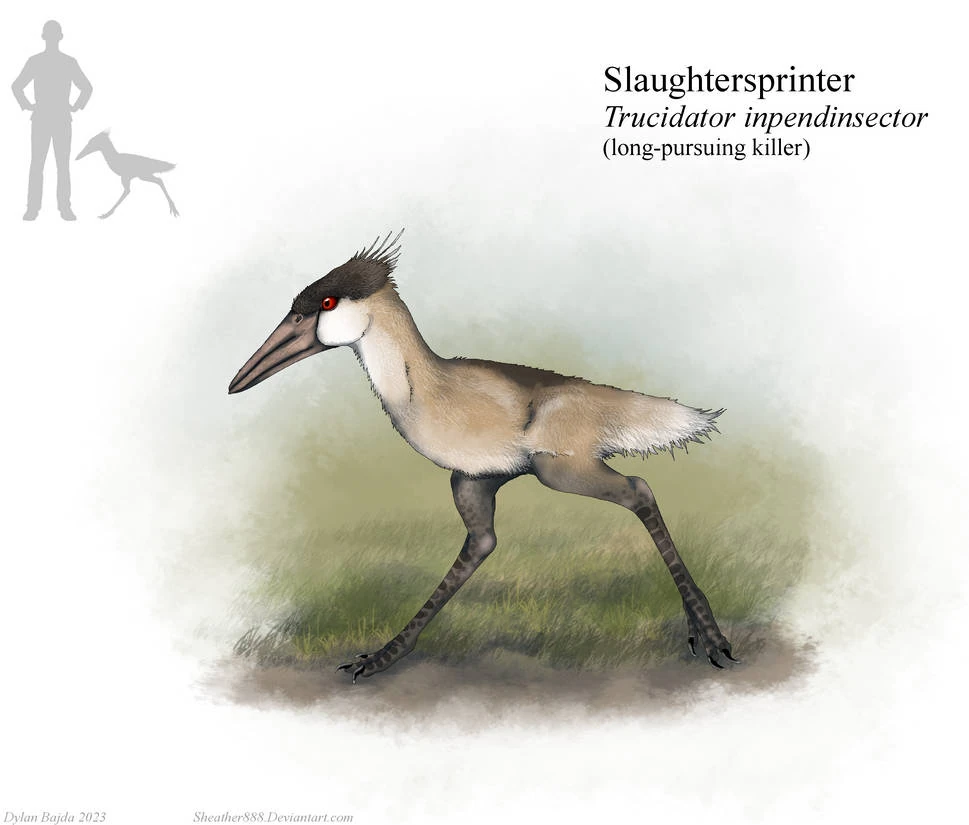 Slotterinavis | Speculative Evolution Wiki | Fandom