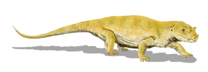 Therapsid (Butterfly Effect) | Speculative Evolution Wiki | Fandom