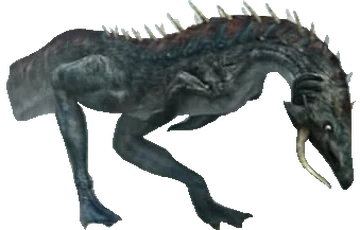 Xenarthra Australia Speculative Evolution Wiki Fandom Heron (Project: