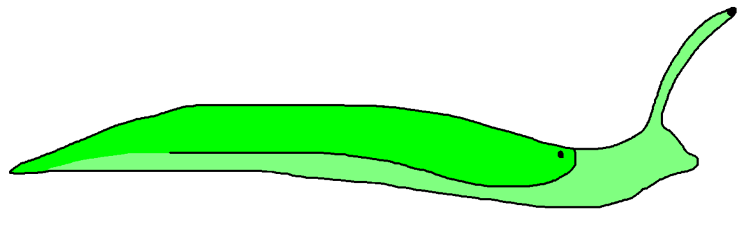 Ectoplasmic Slug | Speculative Evolution Wiki | Fandom