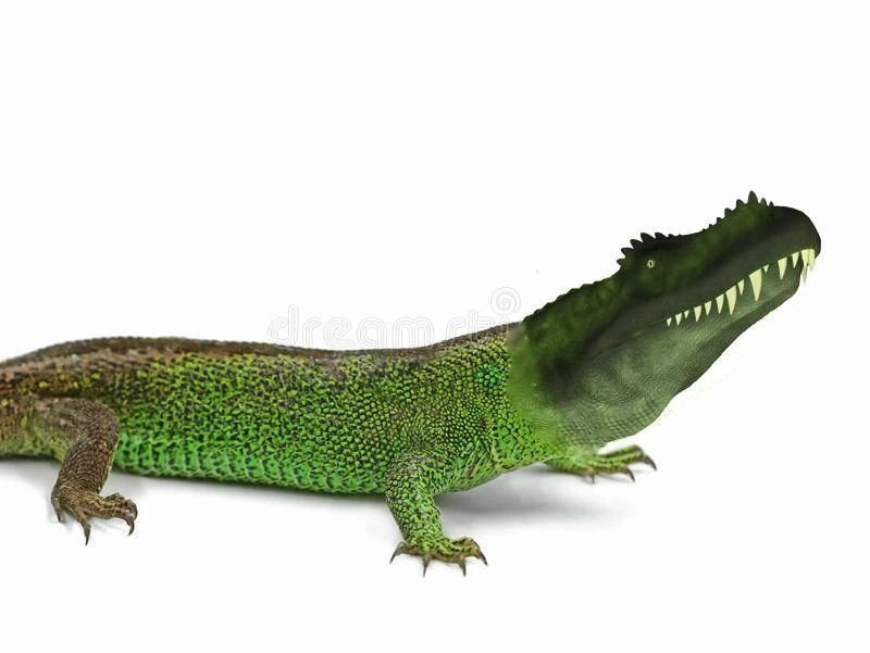 reptilius (imitatio reptilios) | Speculative Evolution Wiki | Fandom