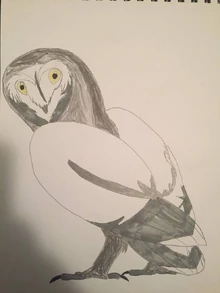 Gargoyle Owl | Speculative Evolution Wiki | Fandom