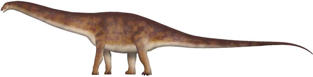 Category:Sauropods | Speculative Evolution Wiki | Fandom