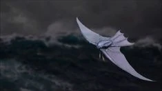 Pteroctopus | Speculative Evolution Wiki | Fandom
