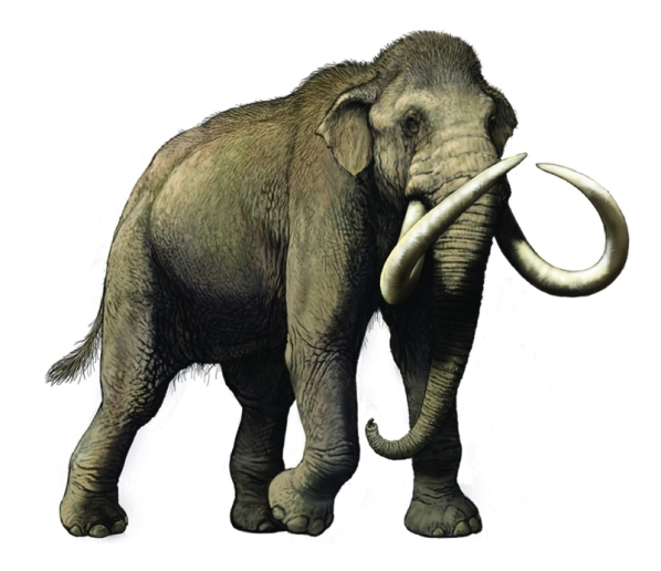 Greater mammoths | Speculative Evolution Wiki | Fandom