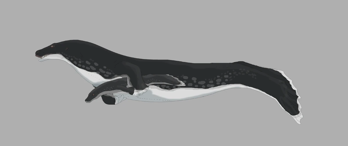 The Tyrant Seadog | Speculative Evolution Wiki | Fandom