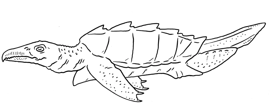 Pike Turtle | Speculative Evolution Wiki | Fandom