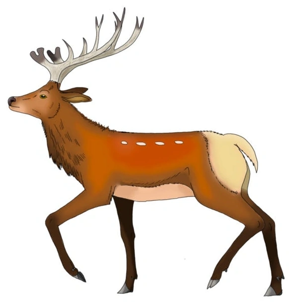 Saint Begren Island deer (Liera) | Speculative Evolution Wiki | Fandom