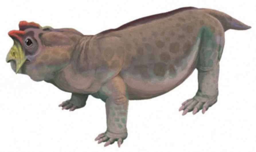 Brown burrowing pig-lizard (Liera) | Speculative Evolution Wiki | Fandom
