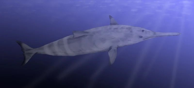 Hawaiian river dolphin (SciiFii World) | Speculative Evolution Wiki ...