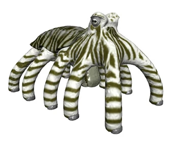 Zebra Squid | Speculative Evolution Wiki | Fandom