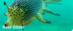 Reef glider | Speculative Evolution Wiki | Fandom