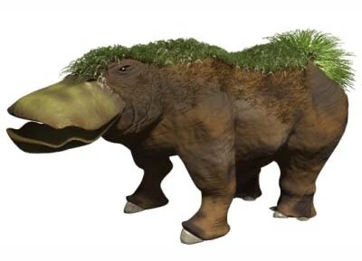 Shovel duck | Speculative Evolution Wiki | Fandom