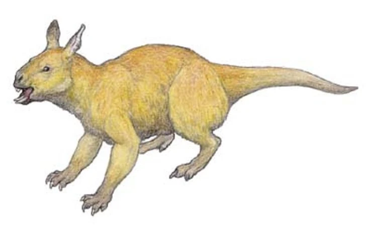 Wallaby boards | Speculative Evolution Wiki | Fandom