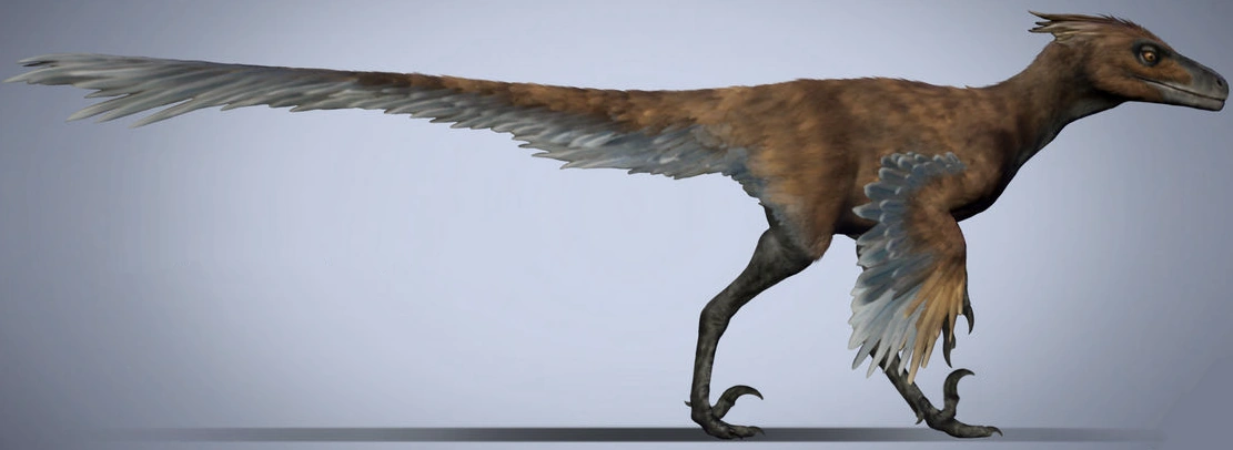 Neopangean ghoul (Liera) | Speculative Evolution Wiki | Fandom