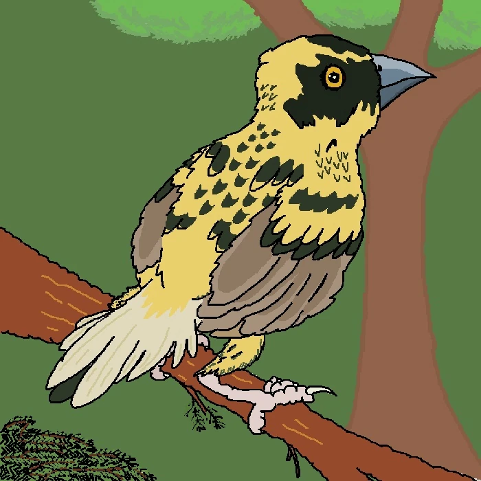 California weaver (New Pleistocene) | Speculative Evolution Wiki | Fandom