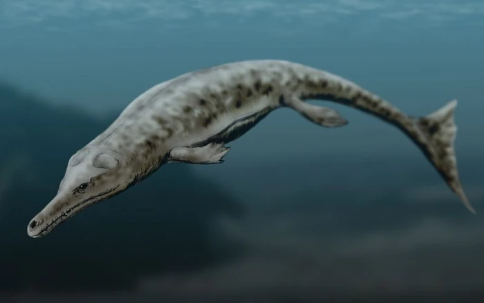 Crocodylomorpha (Eocene Split) | Speculative Evolution Wiki | Fandom