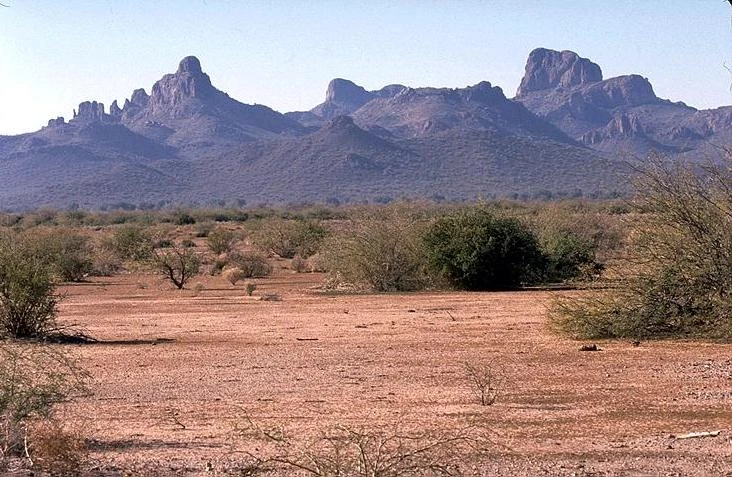 89％以上節約 Scrubland setonda.com