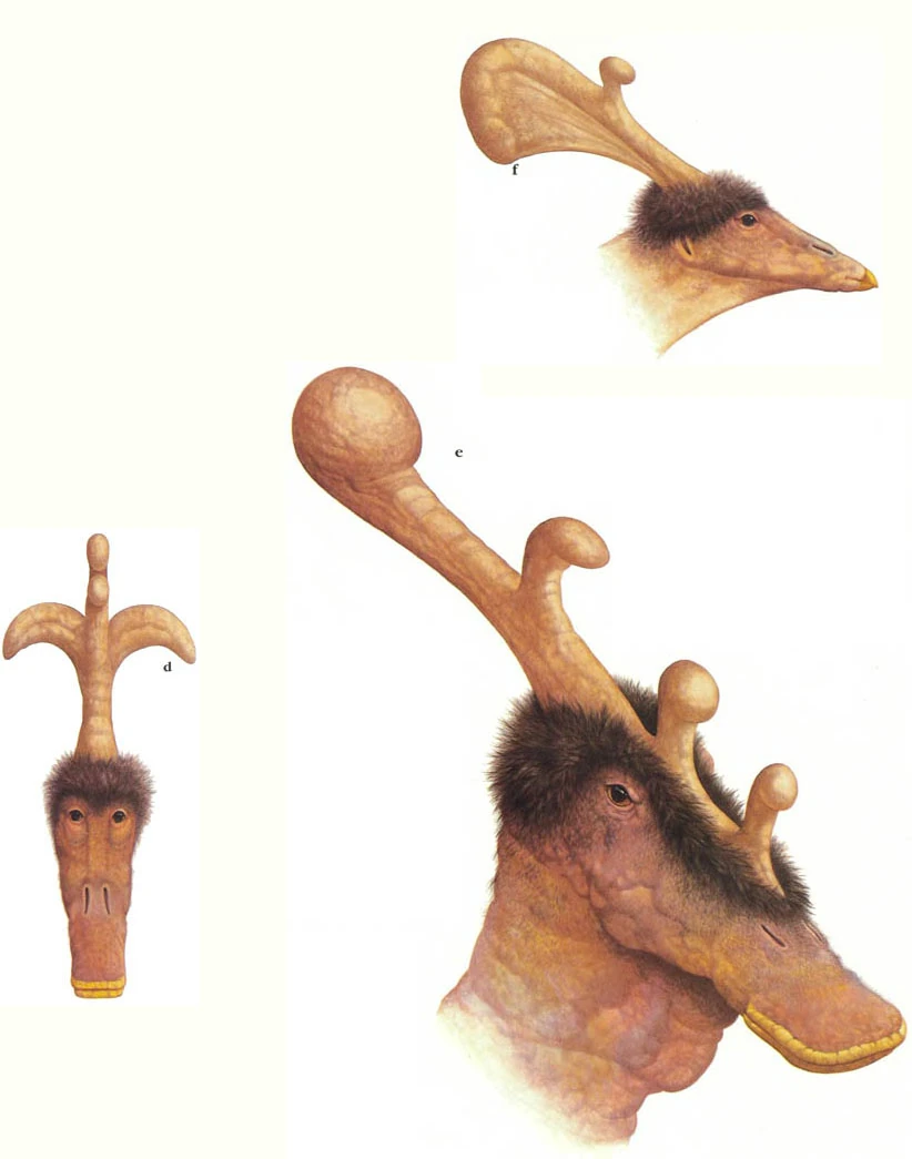 Category:The New Dinosaurs: An Alternative Evolution | Speculative ...