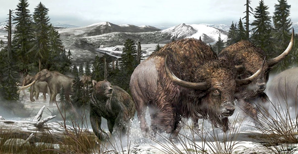 Superior American bison | Speculative Evolution Wiki | Fandom