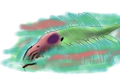 Xenarthra Australia Speculative Evolution Wiki Fandom Heron (Project: