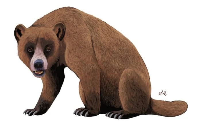 Moon dog (Liera) | Speculative Evolution Wiki | Fandom