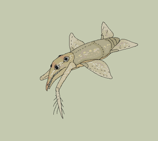 Seasprites | Speculative Evolution Wiki | Fandom