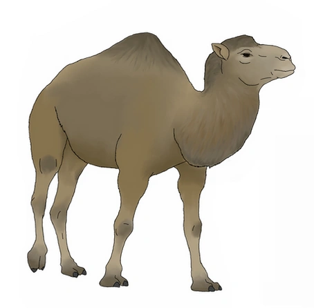 Primal Island camels | Speculative Evolution Wiki | Fandom