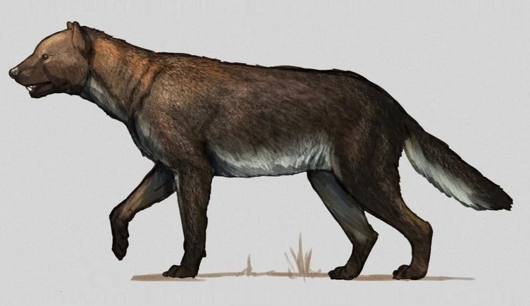 Tyrant bush dogs | Speculative Evolution Wiki | Fandom